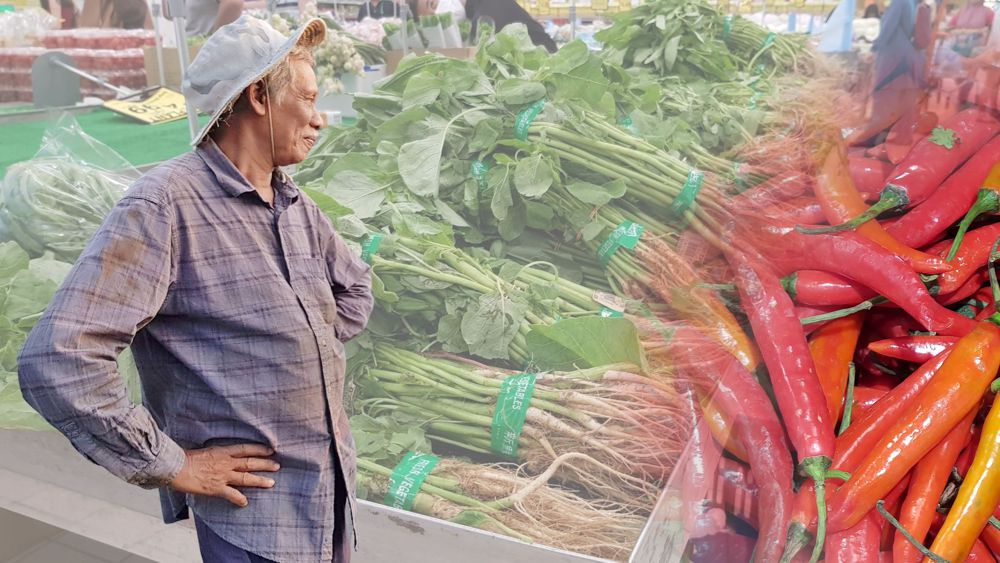 Petani tempatan paling terkesan pemansuhan AP - BTS Media